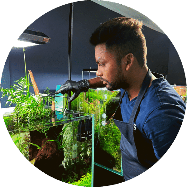 About – Underwater Scapes